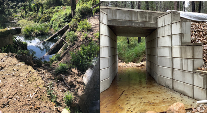 Forestry Corporation - Forest Infrastructure Repair Program